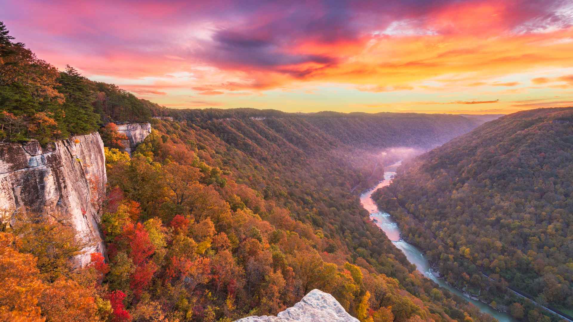 145 Virginia Puns That Will Make You Fall