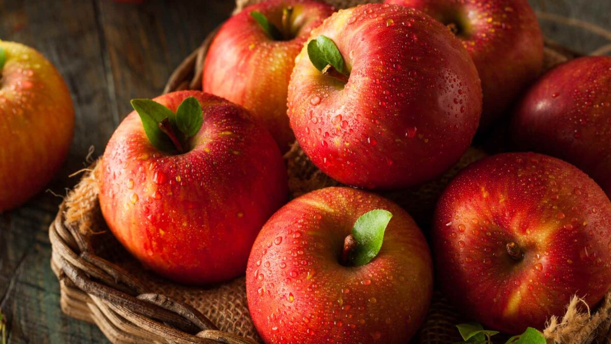 145 Apple Puns for Every Occasion