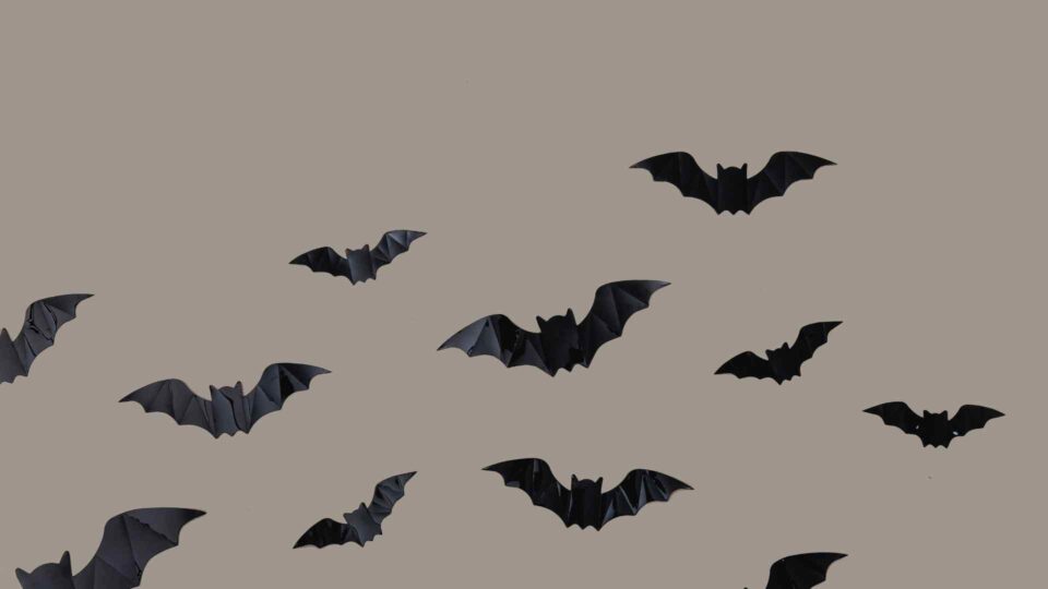 145 Bat Puns: Hilariously Clever Wordplays