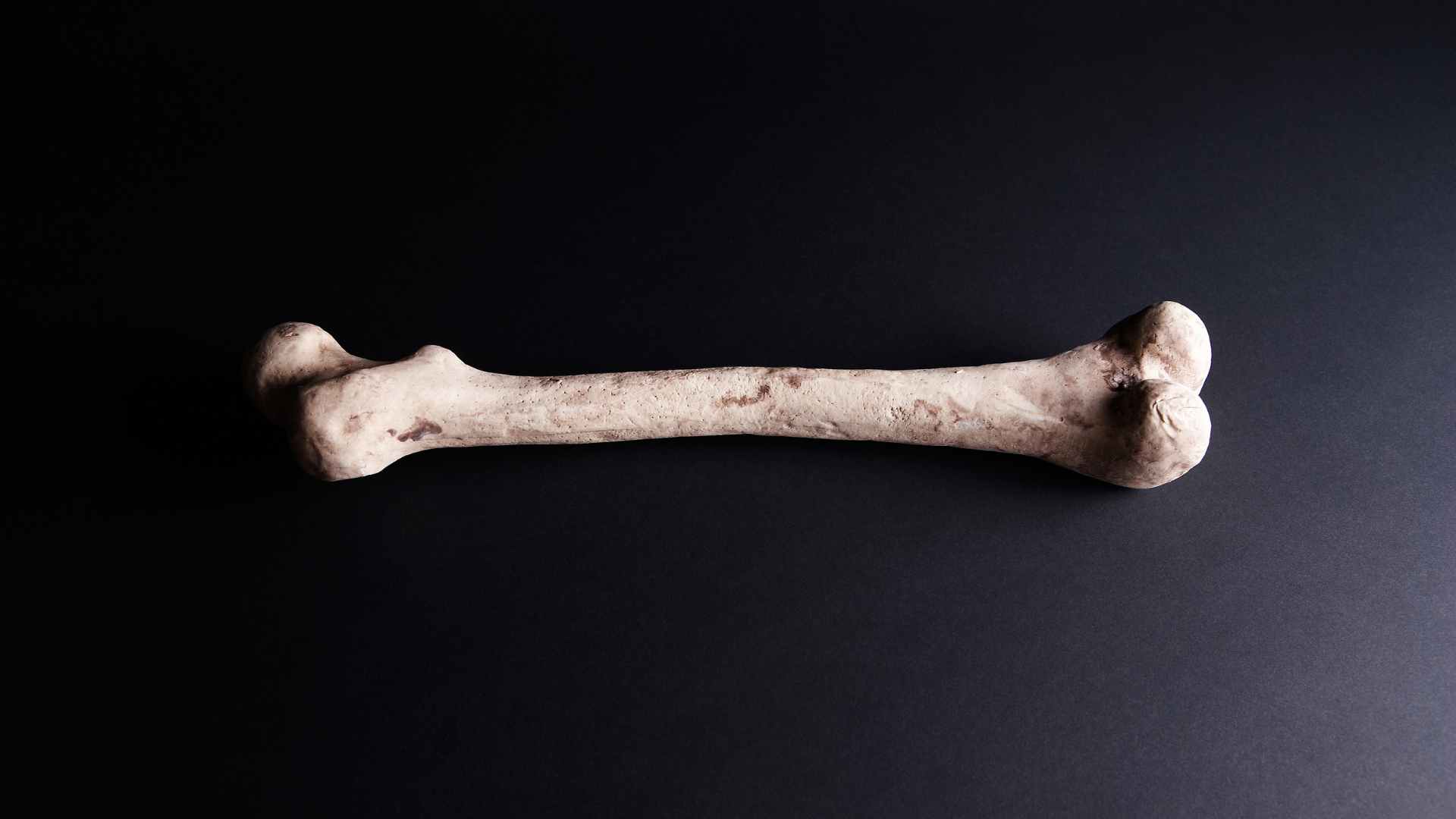 45 Bone Puns That Will Tickle Your Funny Bone
