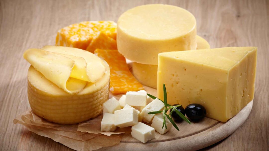 Top 135 Cheese Puns for Every Occasion