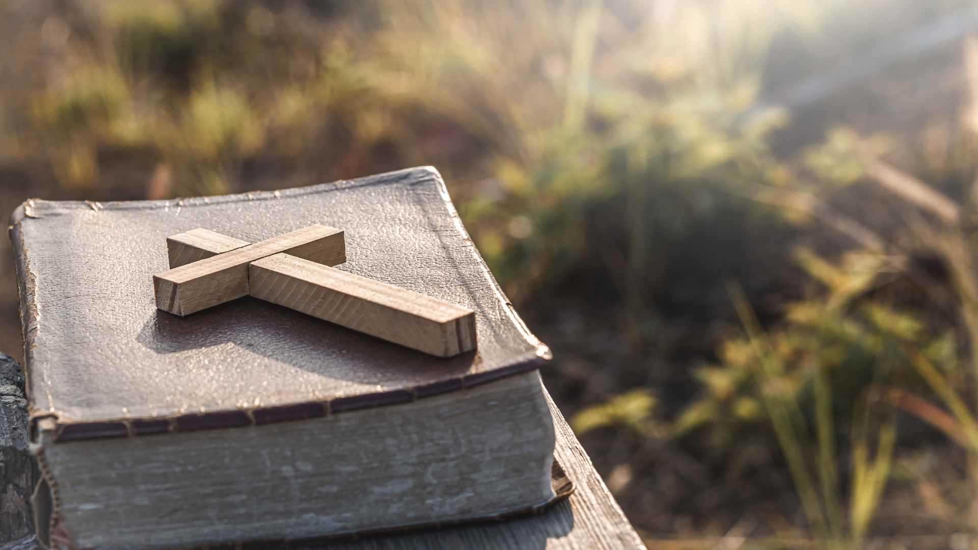 145+ Christian Puns That Are Heaven-Sent!
