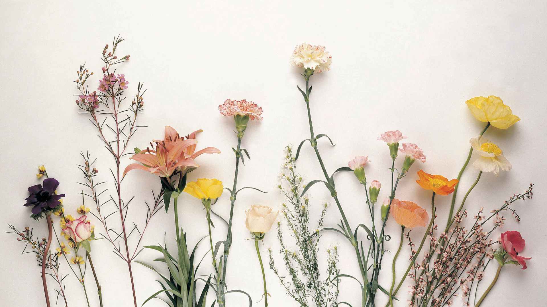 145 Flower Puns: A Blooming Good Time for Every Occasion