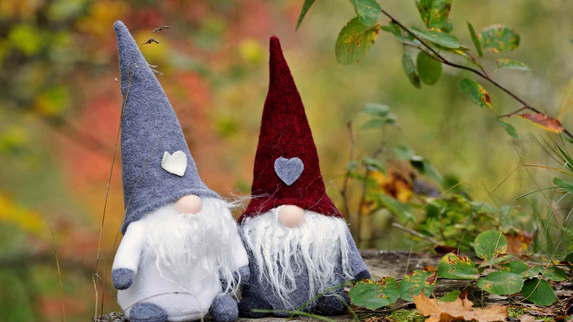 145 Gnome Puns to Make You Giggle in Your Garden!