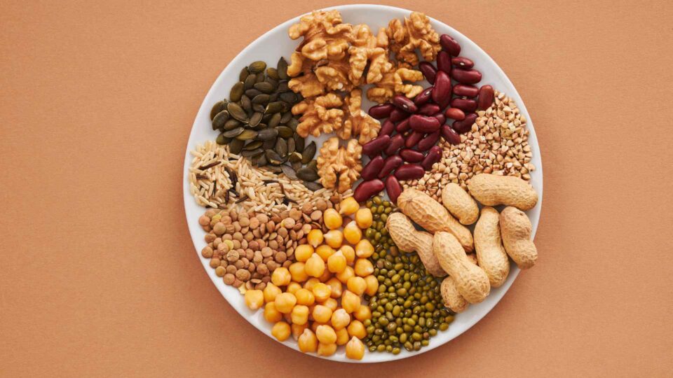 145 Nut Puns to Crack You Up!