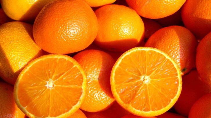 145 Orange Puns That Will Make You Peel Good!