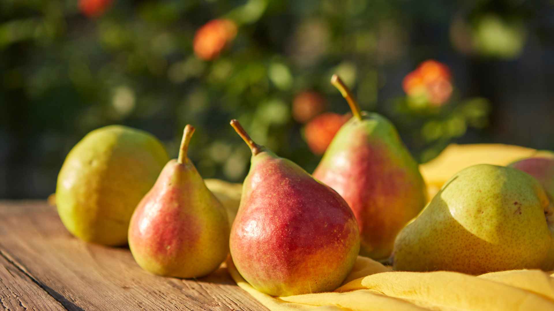 145 Pear Puns That Will Make You Laugh Until You’re Ripe