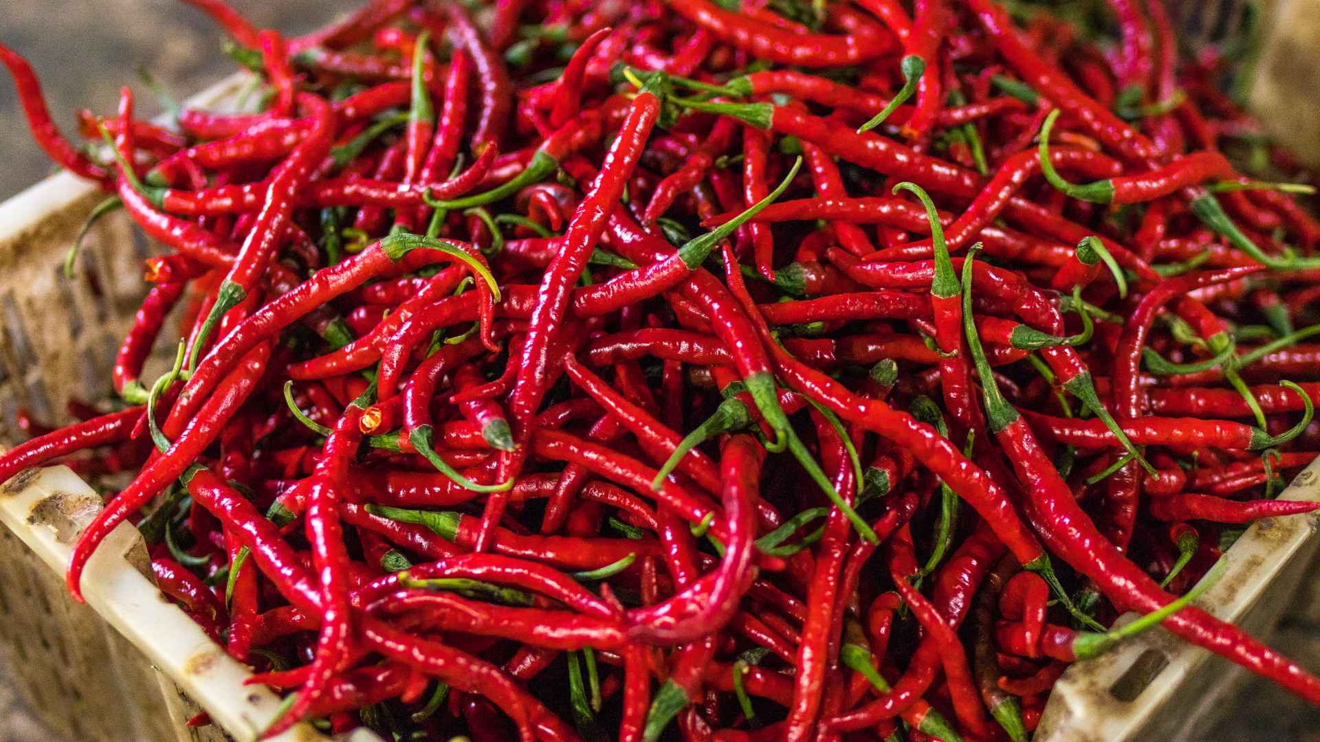 145 Pepper Puns That Will Spice Up Your Day