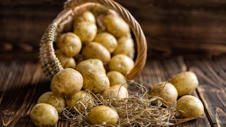 145 Potato Puns That Will Make You Fall Head Over Spuds