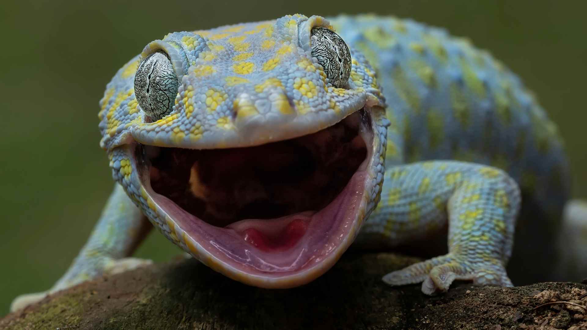 145 Puns About Puns: A Wordplay Wonderland