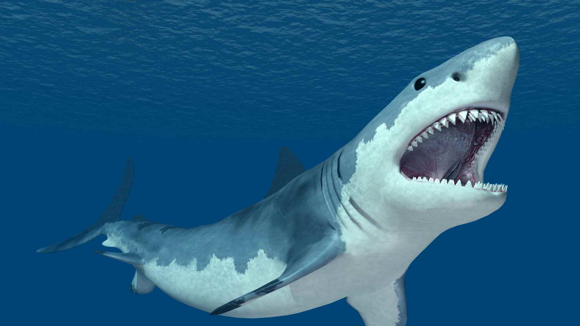 145 Shark Puns: Jawsome Puns for Any Occasion