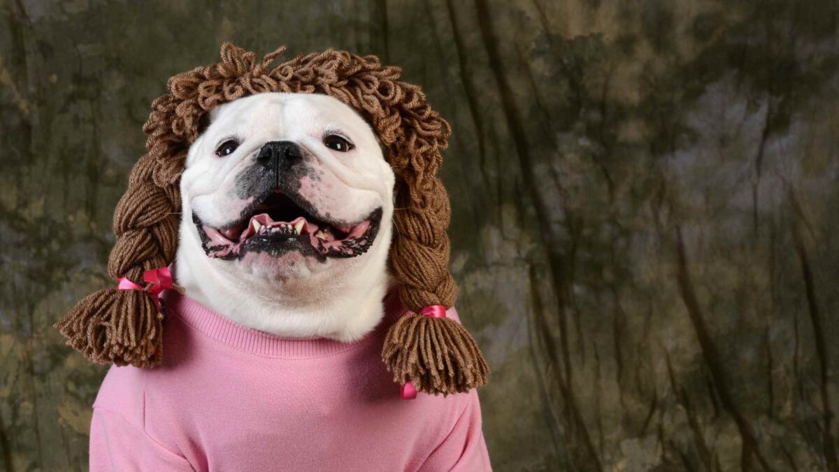 145 Short Puns to Make You Laugh!