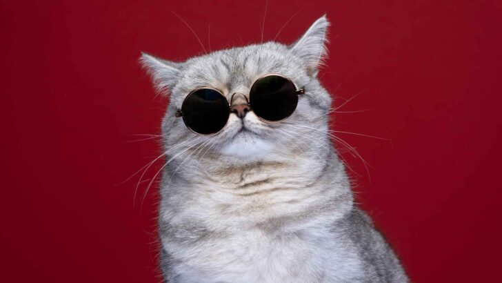 145 Short Puns to Make You Laugh!