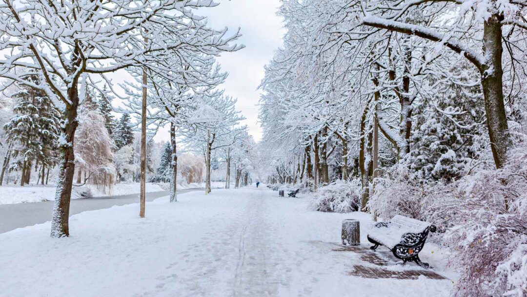 145 Snow Puns Categorized for Maximum Winter Fun