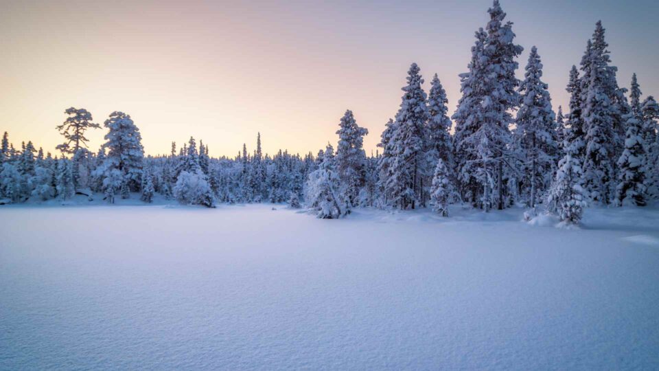145 Snow Puns Categorized for Maximum Winter Fun