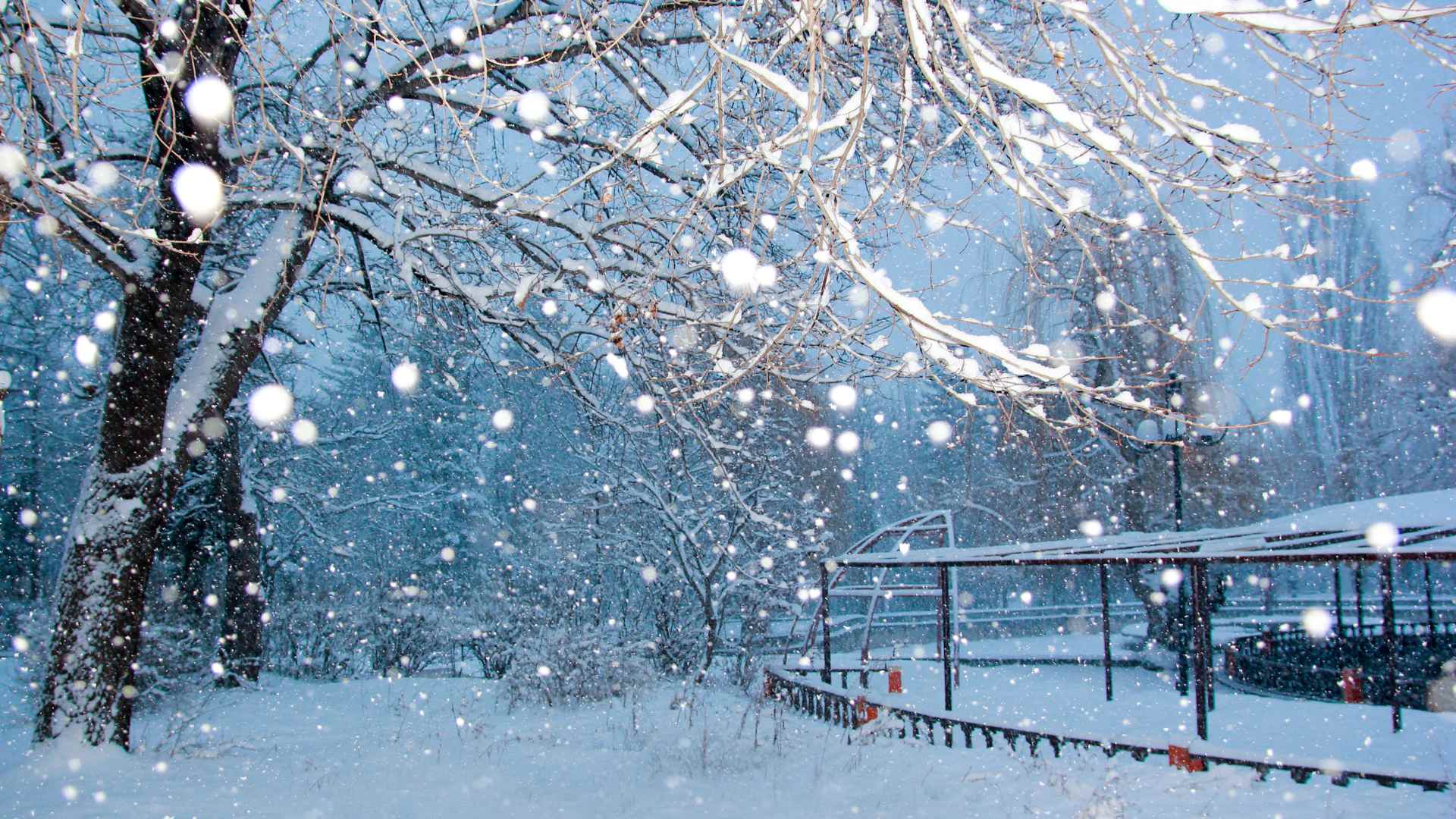 145 Snow Puns Categorized for Maximum Winter Fun