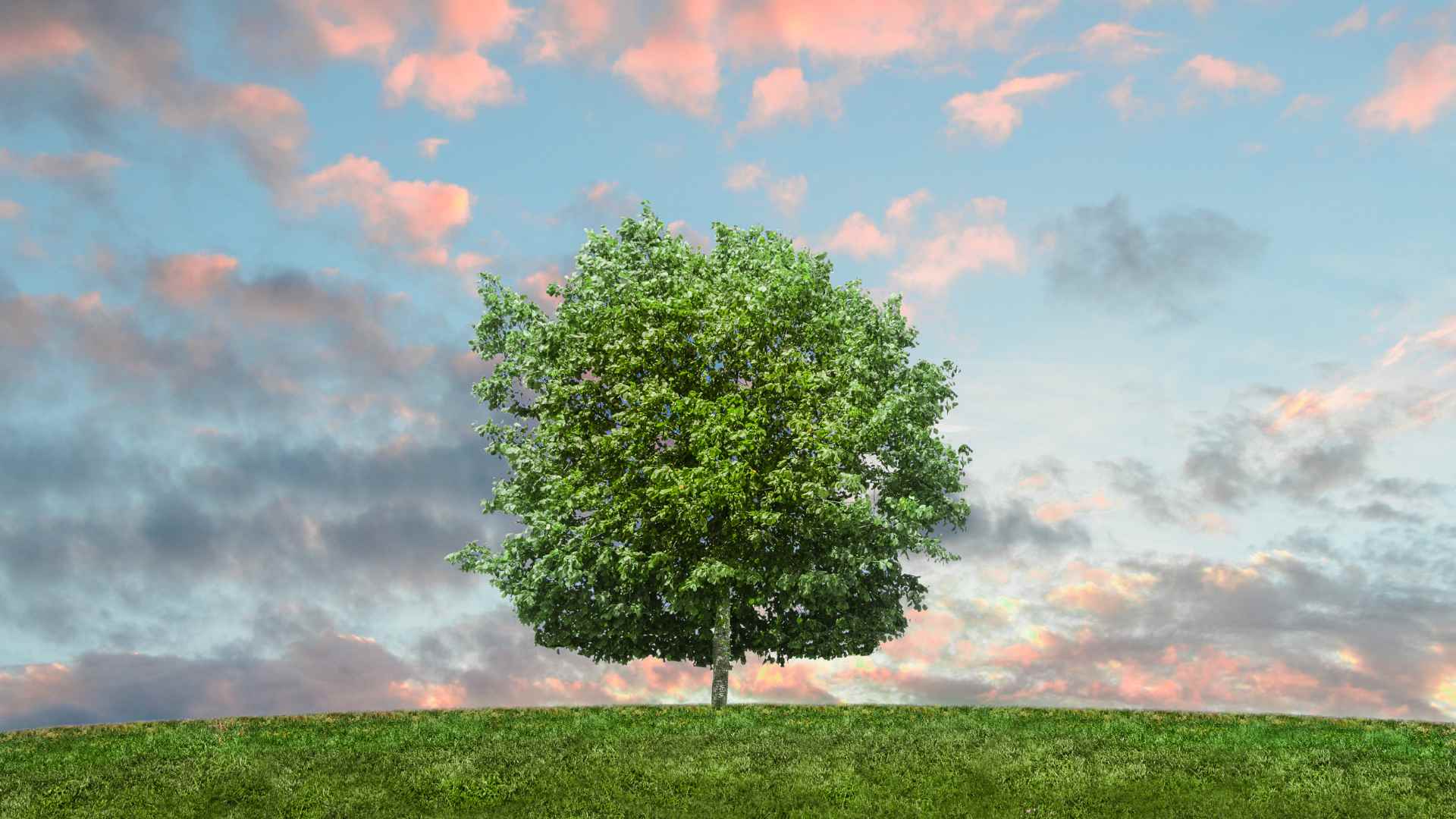 145 Tree Puns That Are Sure to Leaf You Laughing