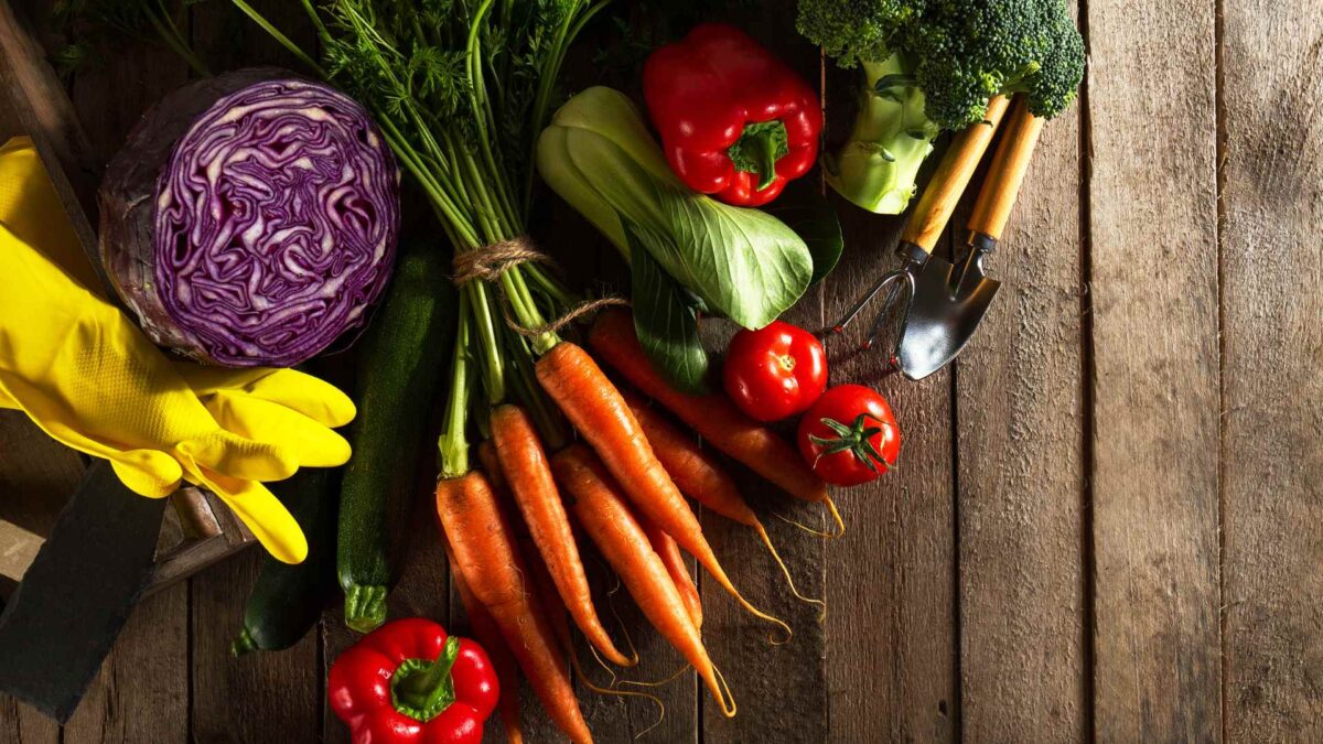145 Vegetable Puns That Are Simply Unbe-leaf-able!