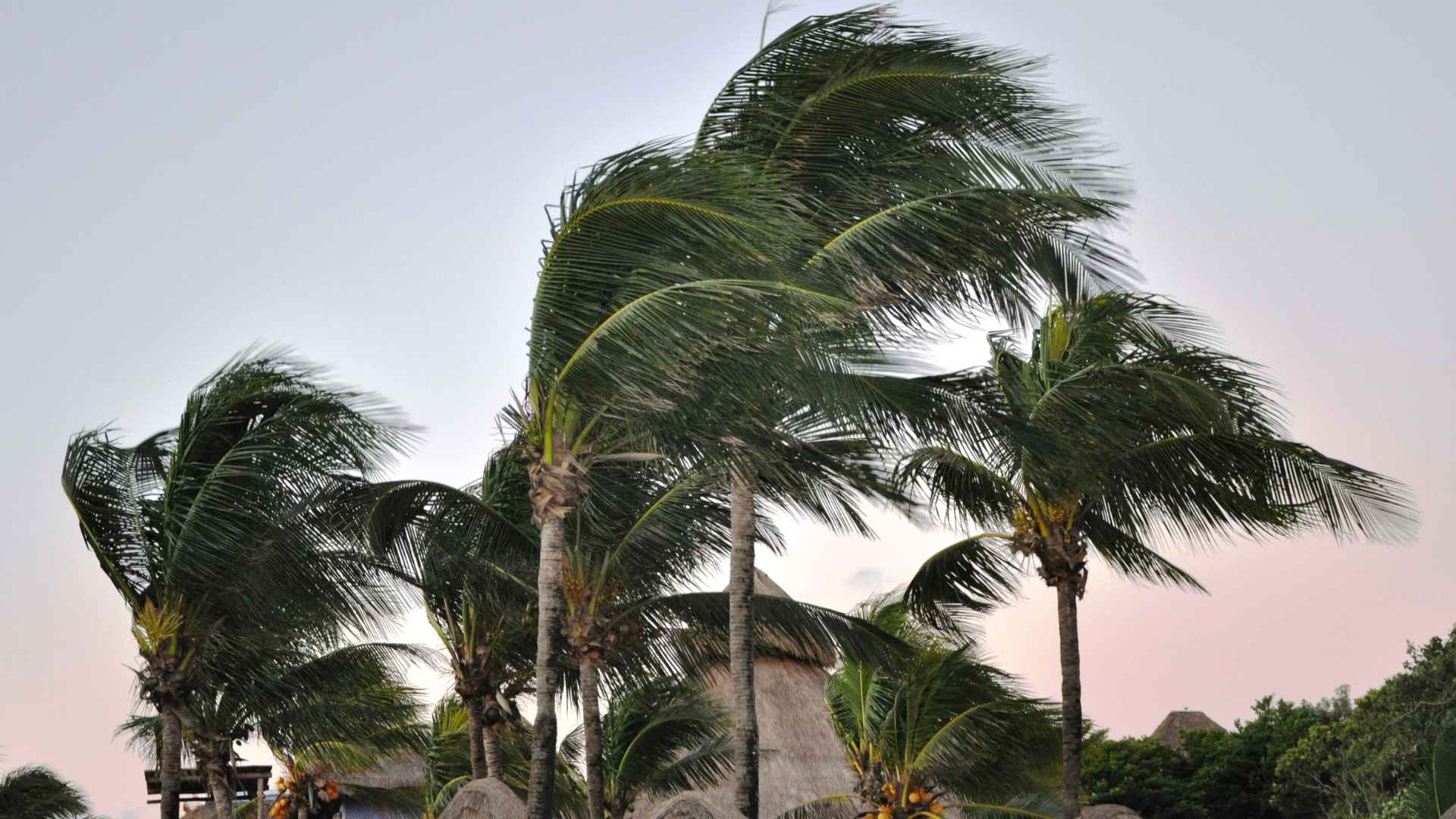145 Wind Puns That Will Blow You Away