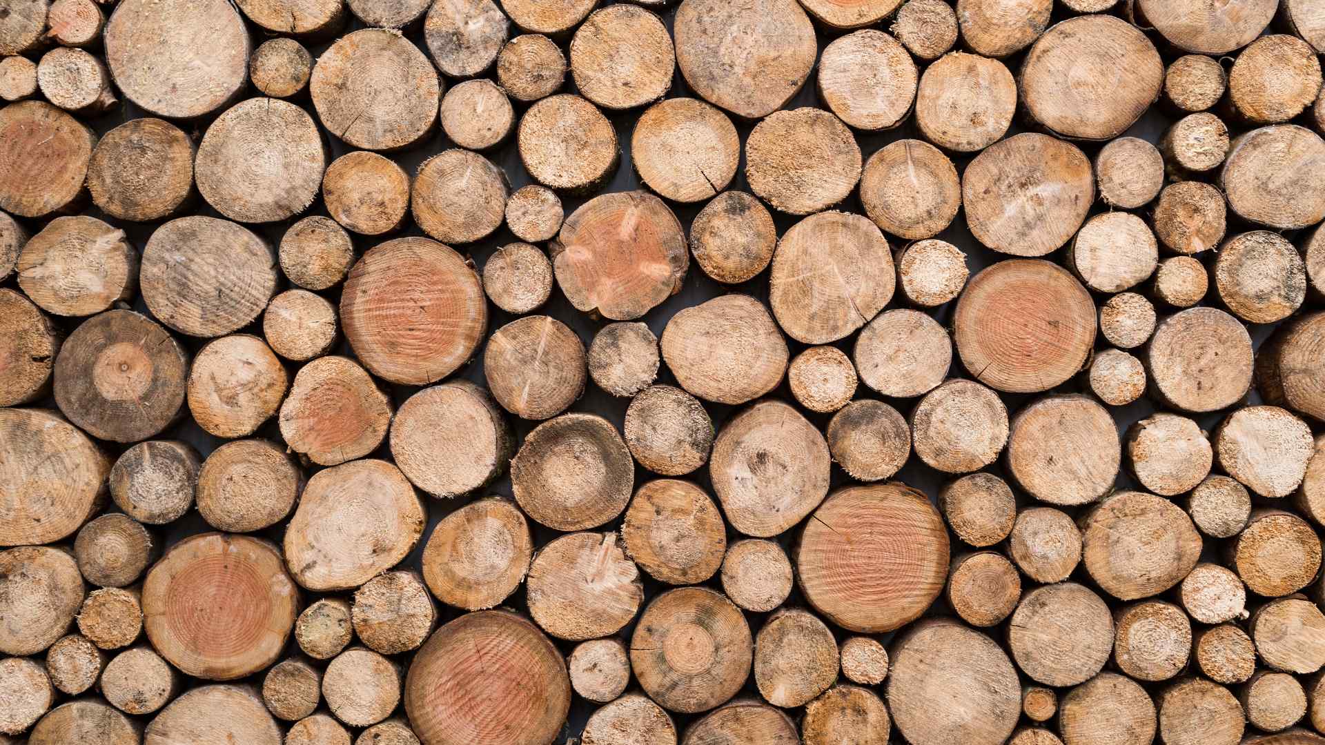 145 Wood Puns That Will Knock on Wood!