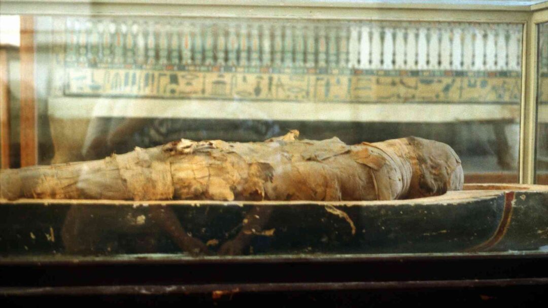 145 Mummy Puns That Will Wrap You Up in Laughter