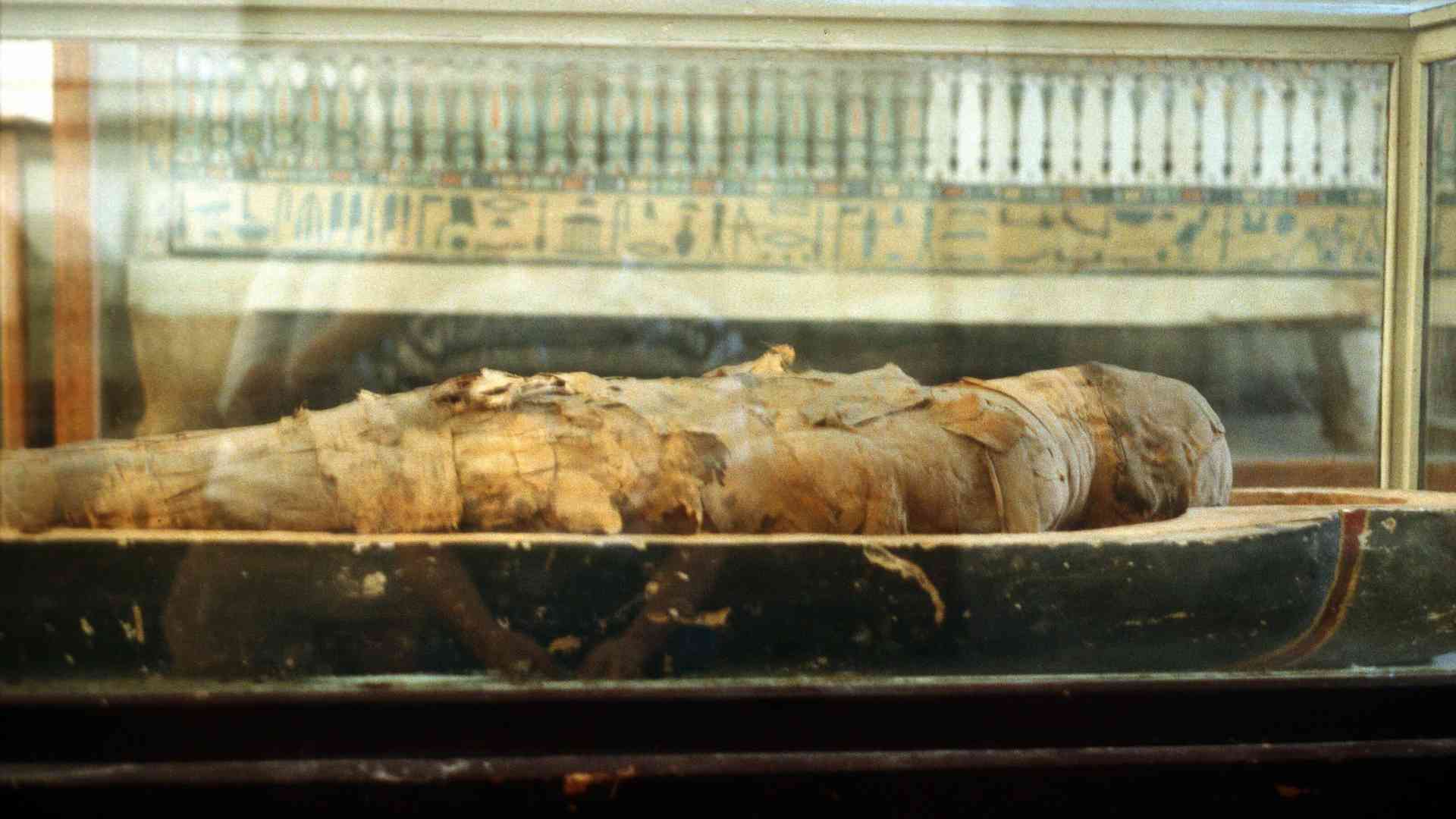 145 Mummy Puns That Will Wrap You Up in Laughter