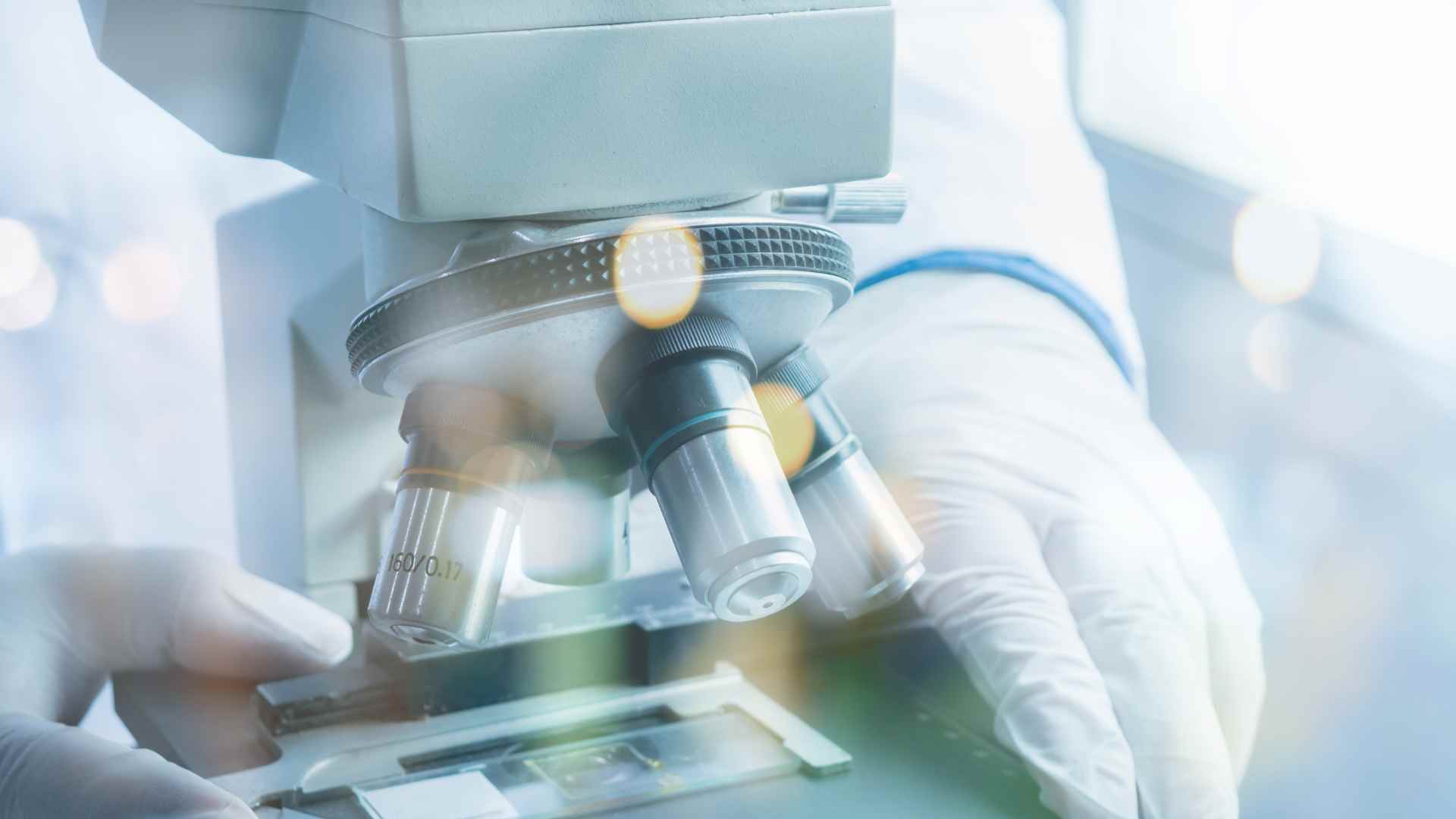 145 Biology Puns That Will Crack You Up