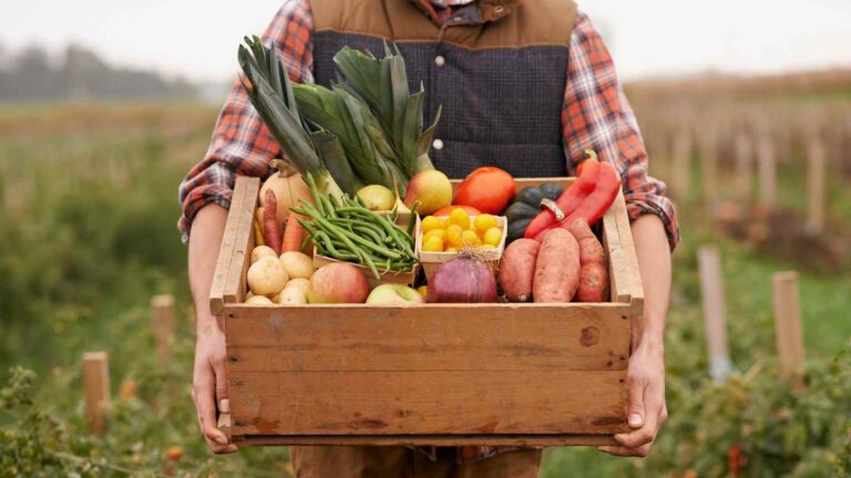 145 Farm Puns That Will Make You Chuckle