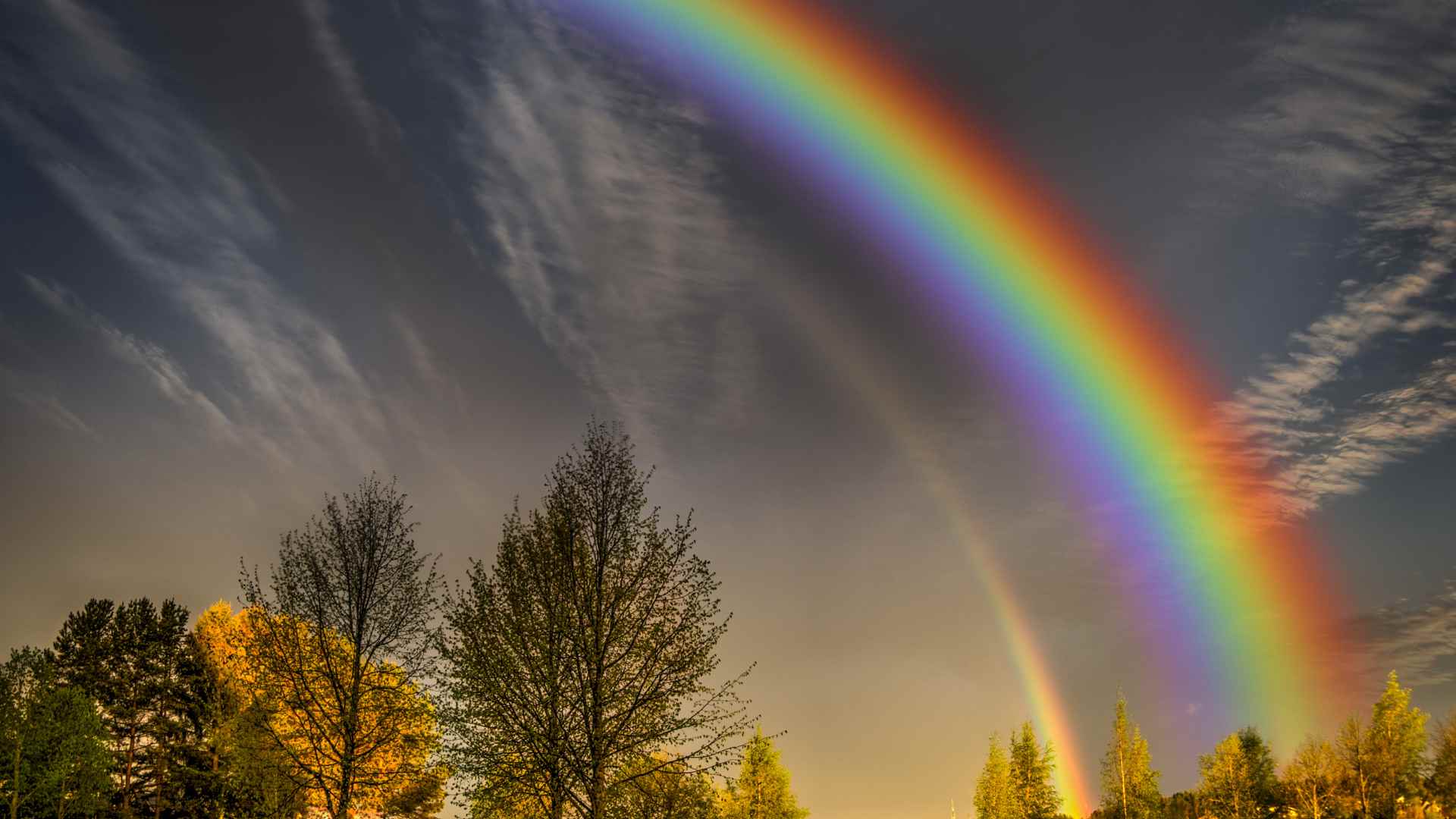 145 Rainbow Puns That Will Brighten Your Day!