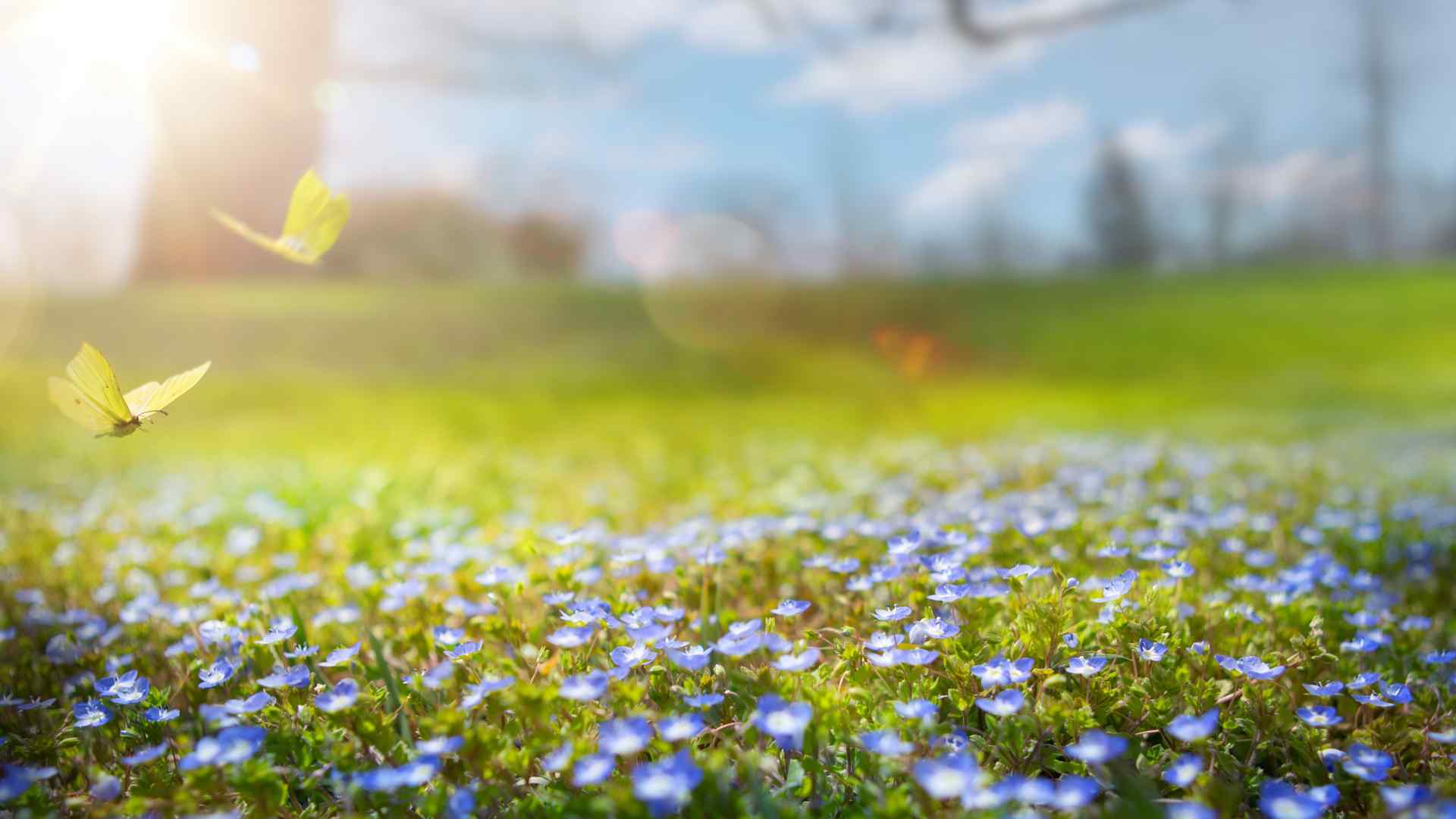 145 April Puns That Will Brighten Your Spring Day