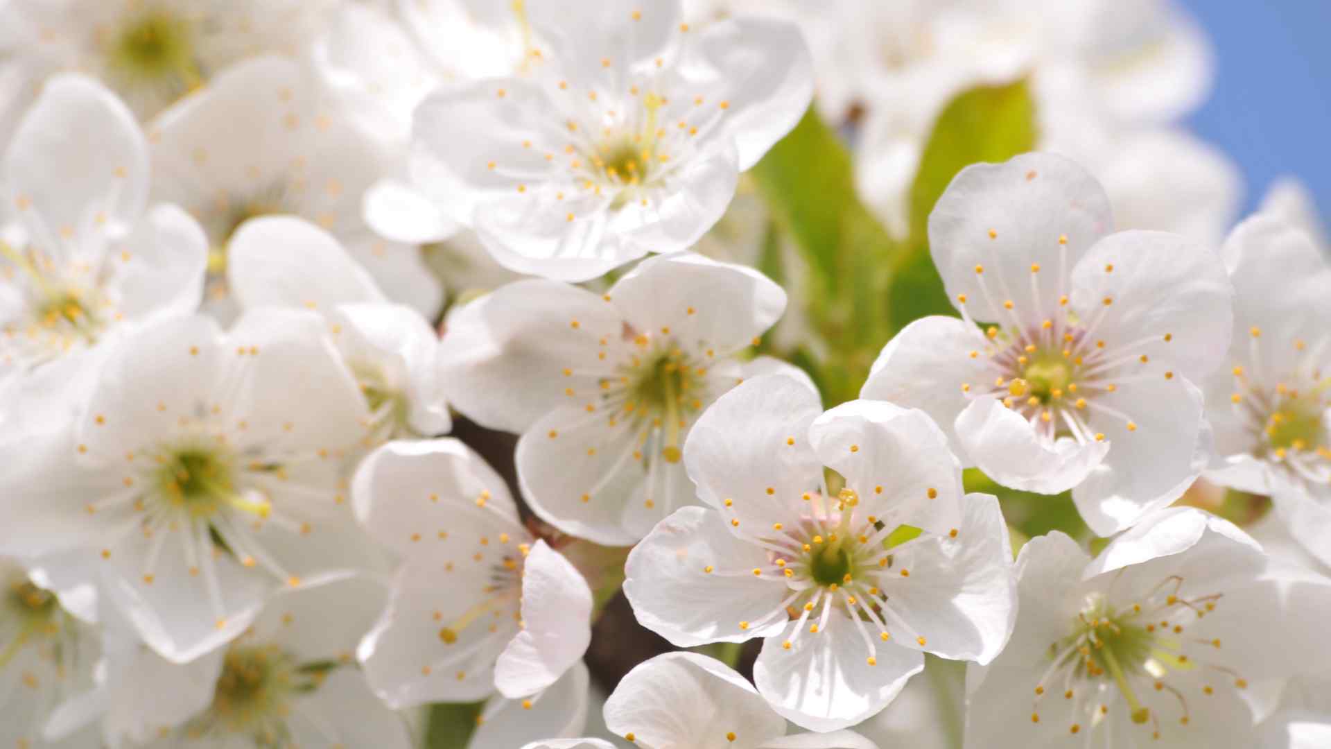 145 April Puns That Will Brighten Your Spring Day