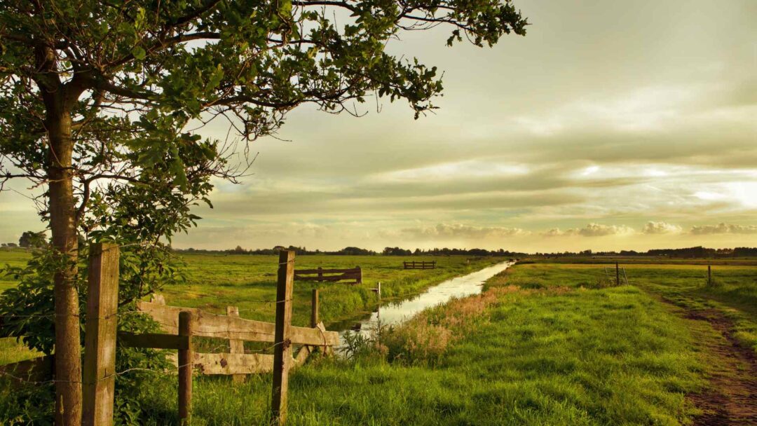 145 Country Puns That Will Make You Laugh