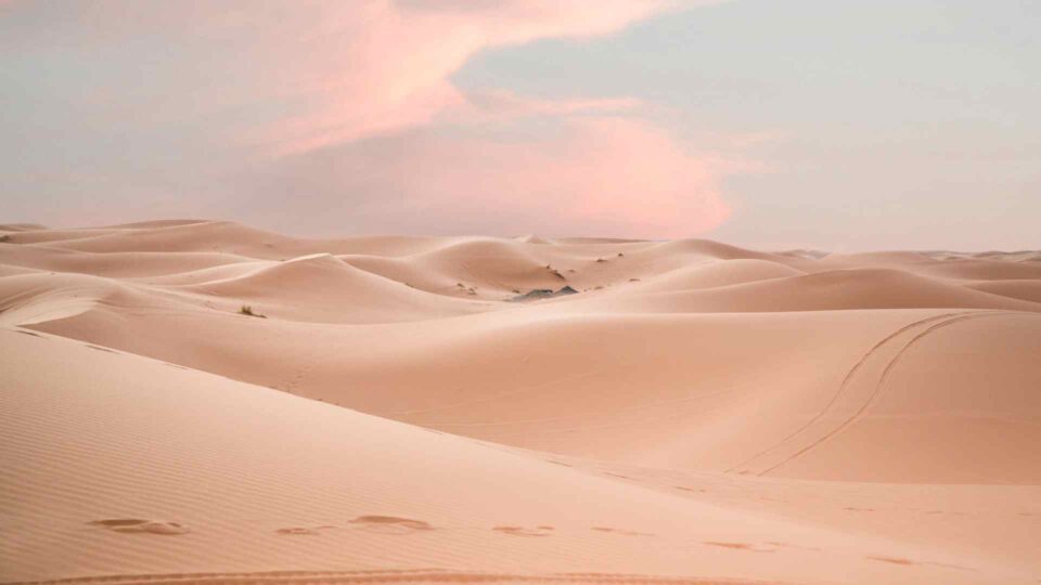 145 Desert Puns That Will Have You Dune Laughing