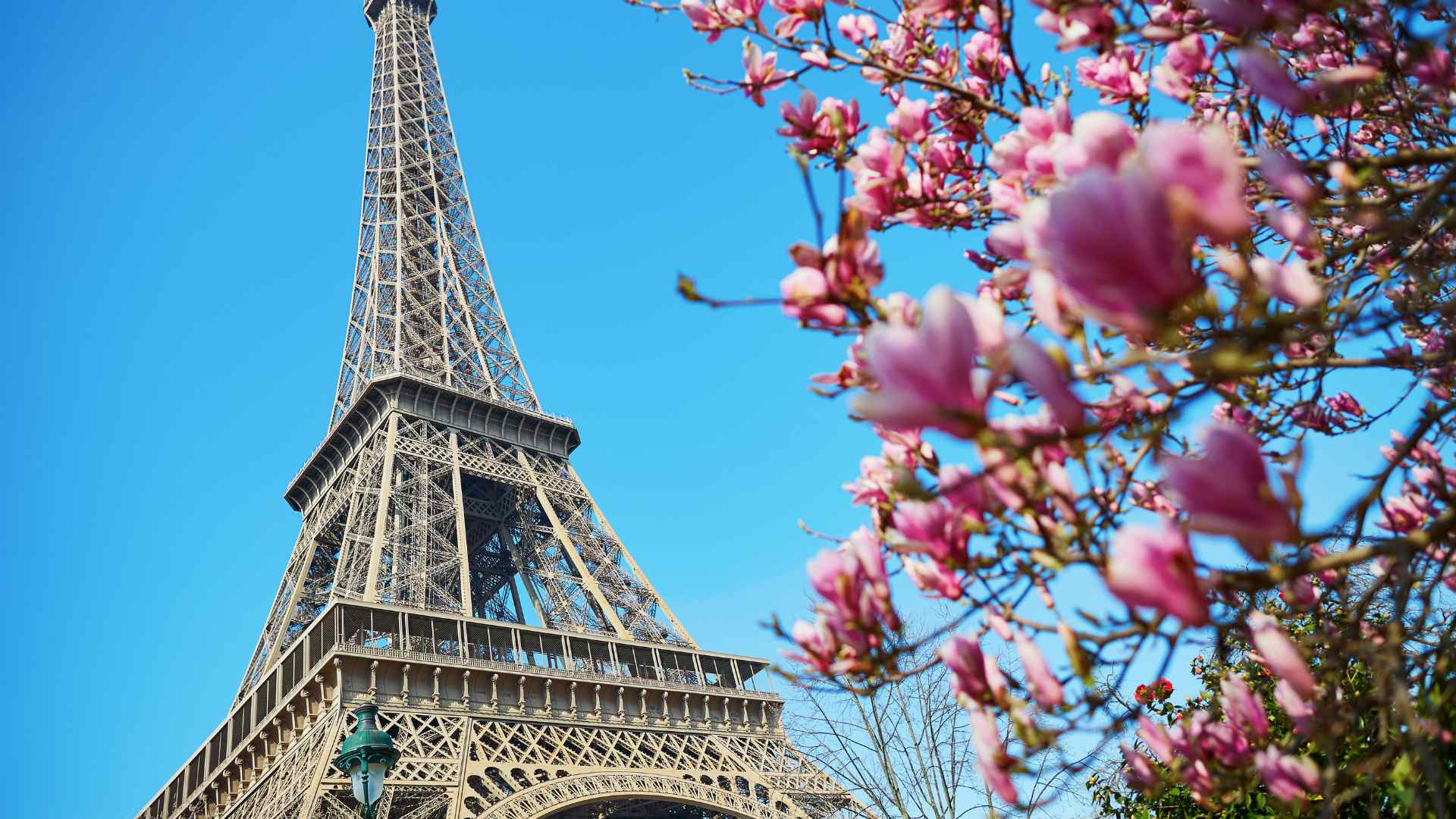 145 French Puns That Will Make You Laugh Out Loud