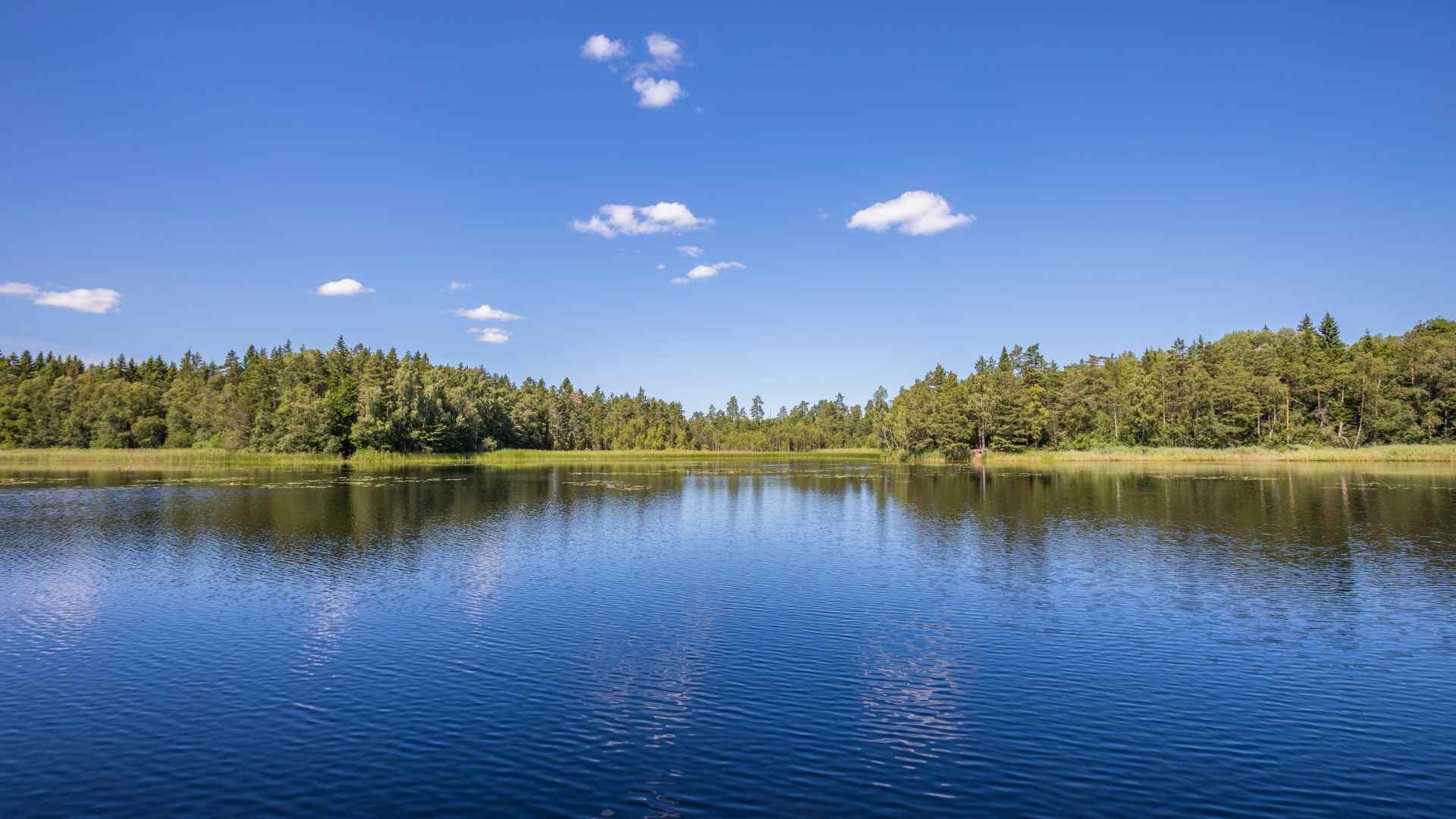145 Lake Puns That Will Make You Laugh and Splash!