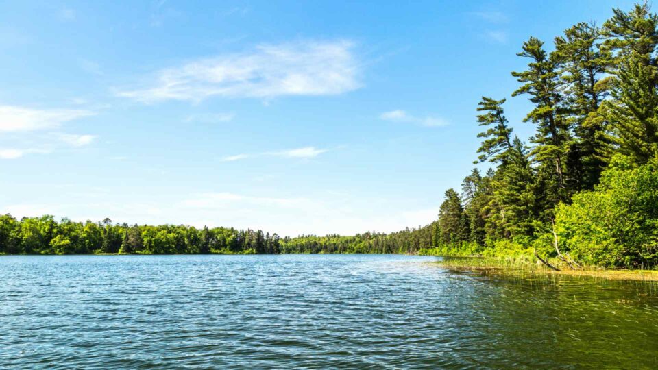 145 Lake Puns That Will Make You Laugh and Splash!