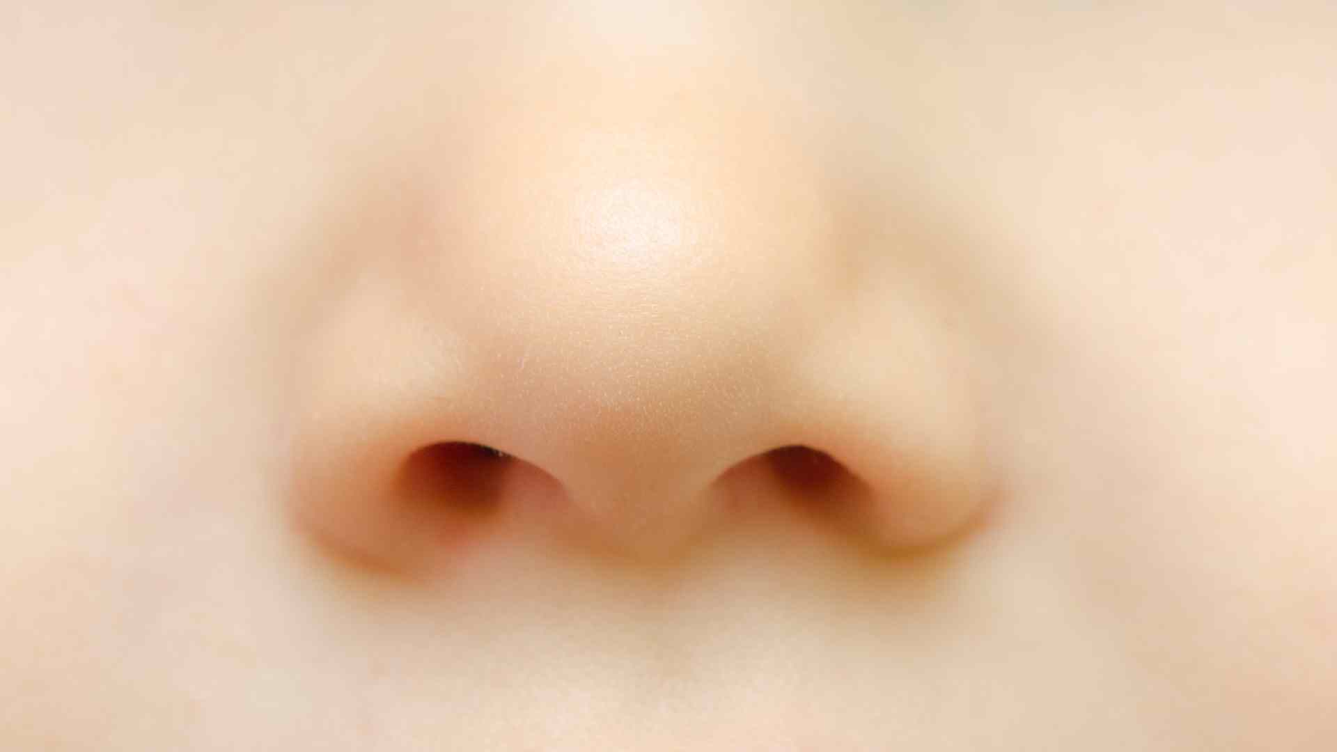 145 Nose Puns That Will Make You Sniffle