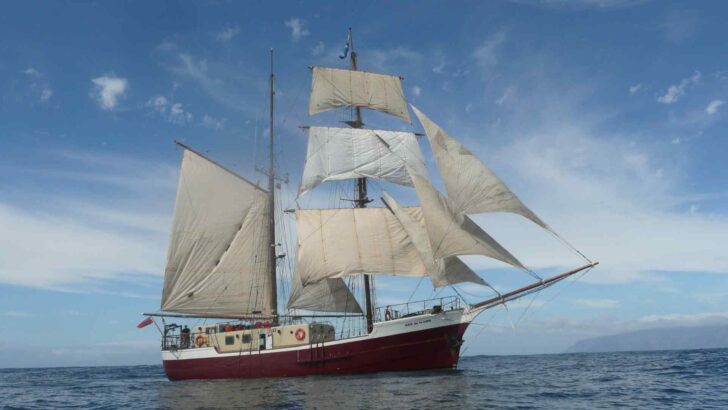 145 Ship Puns That Will Make You Seas the Day