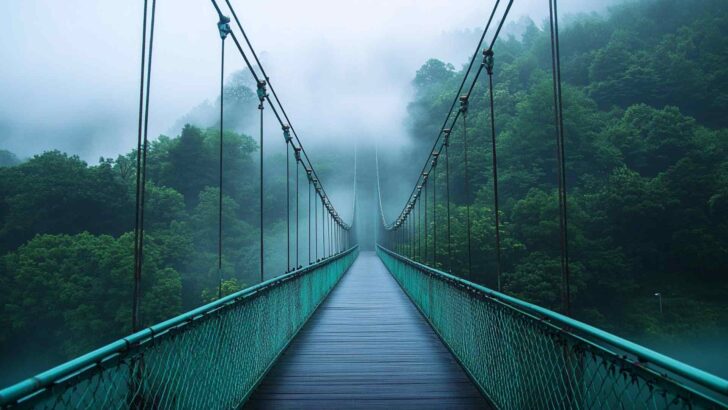 315 Bridge Puns: Funny One-Liners & Cute Captions